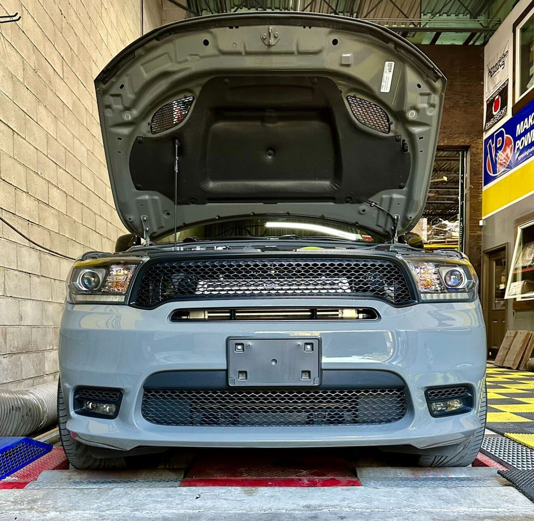 RIPP Modifications