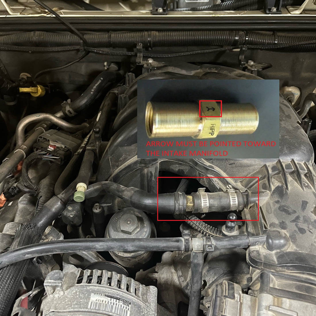 RIPP Modifications